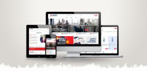 Website Design Tips: 12 Tips to Designing an Amazing Website